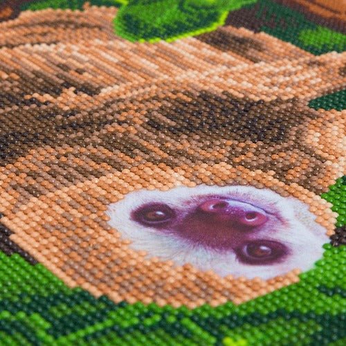 "Two Toed Sloth" Crystal Art Kit - 30x30cm – Craft Buddy